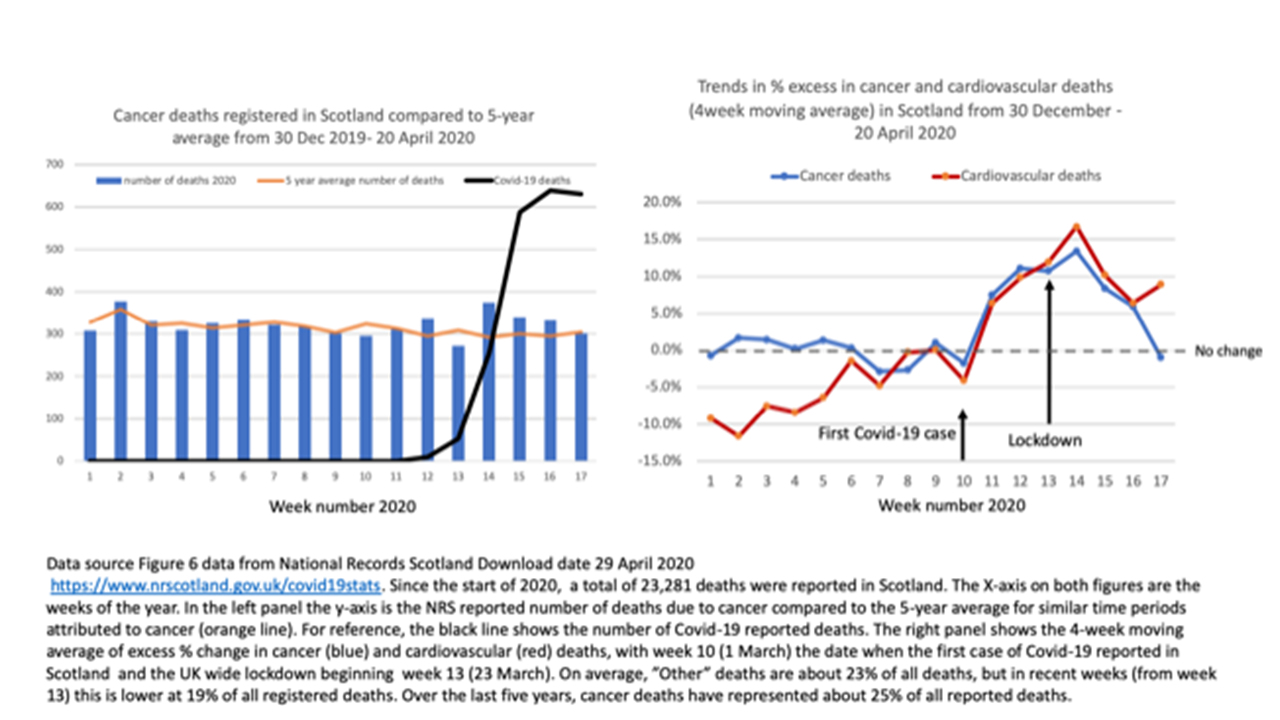 Is there an excess in cancer deaths in Scotland during the Covid-19 ...
